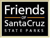 A11406_Friends-of-SCSP-logo | TPG Online Daily